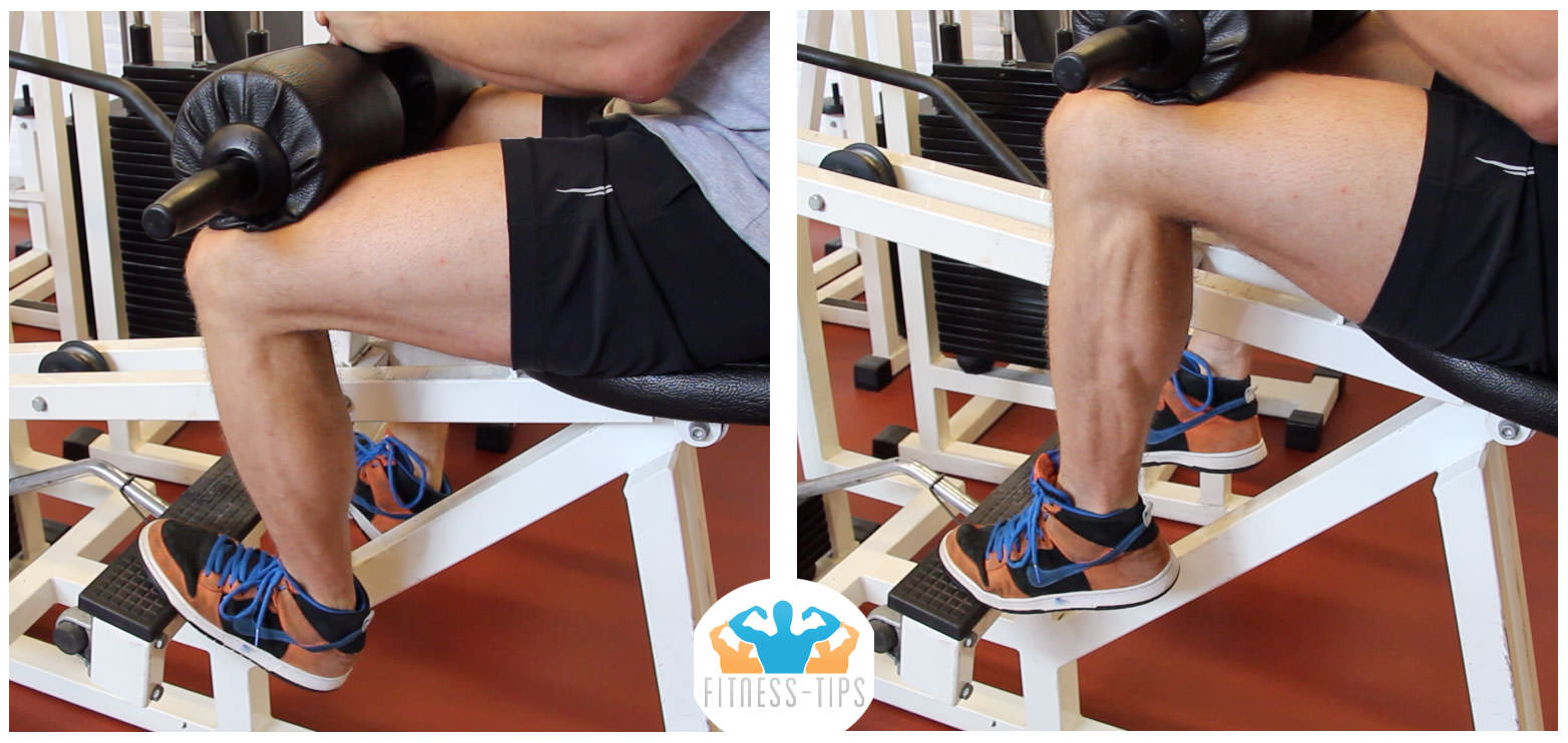 Seated Calf Raise Seated Calf Raise
