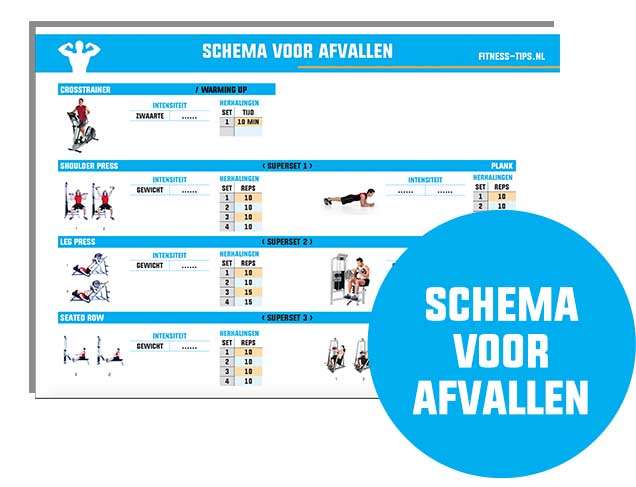 Download Gratis je eigen Fitnessschema! - FIT.nl Download Gratis je eigen Fitnessschema! - FIT.nl