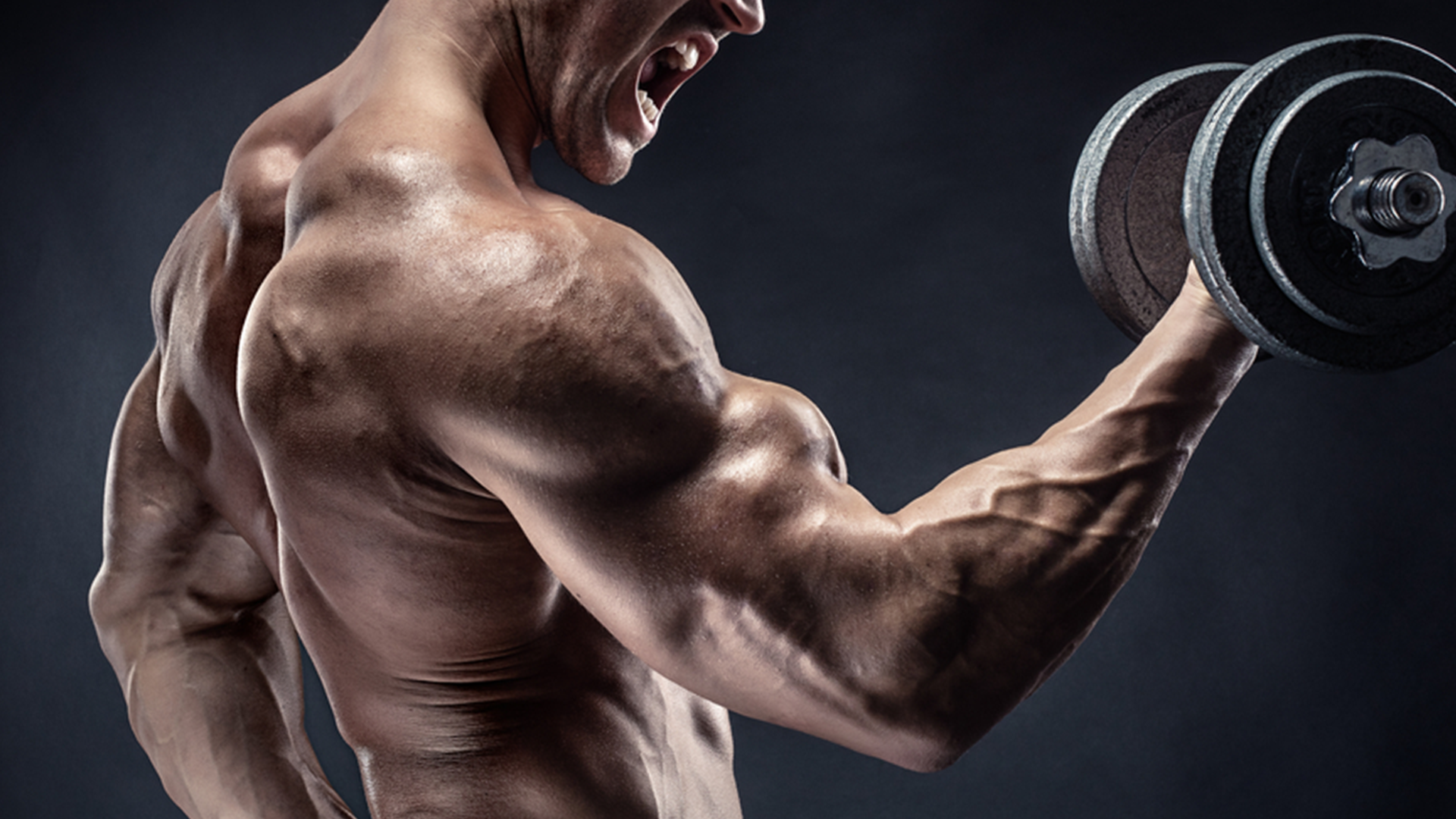 De 6 grootste fabels over krachttraining en spiermassa - FIT.nl