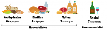 Welke verhouding van macronutriënten past bij mij? - FIT.nl