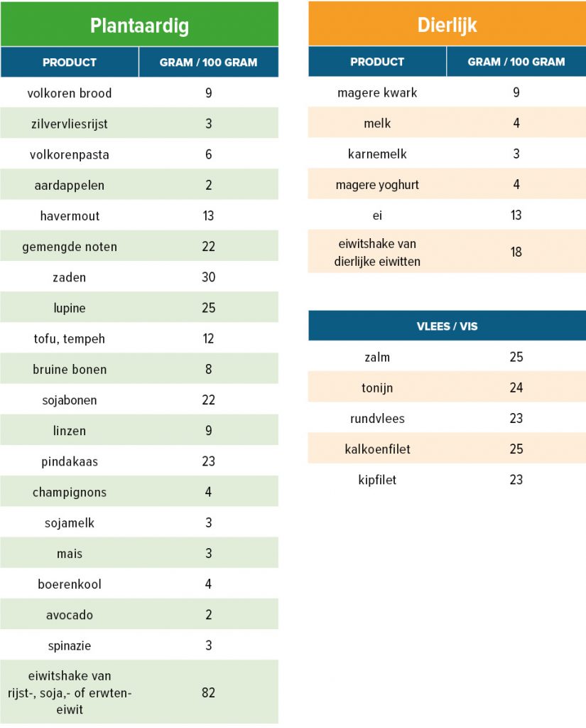 Alle belangrijke informatie over spiermassa - FIT.nl