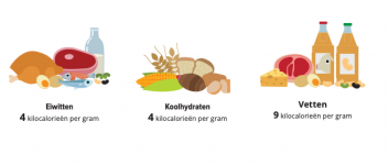 Koolhydraten: alle belangrijke informatie | FIT.nl