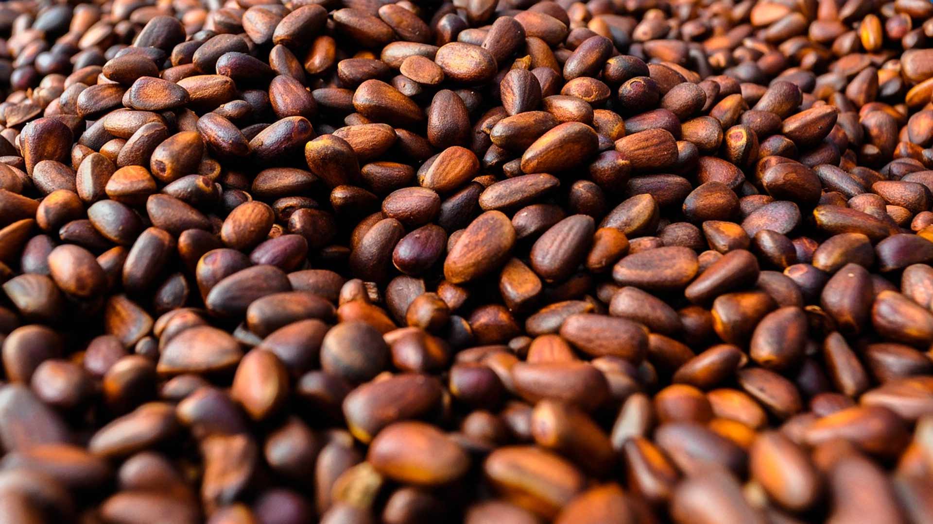 Zijn pompoenpitten gezond? | FIT.nl