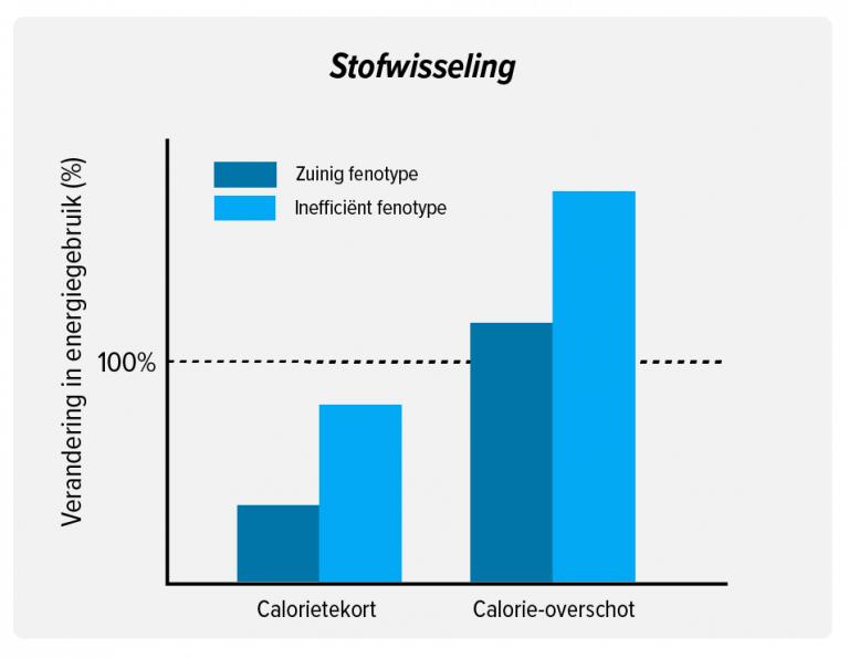 Bulken: beste tips voor meer spiermassa - FIT.nl