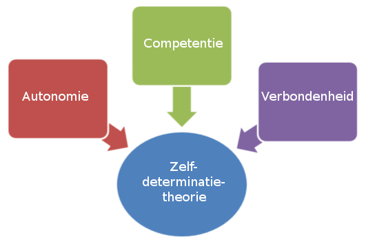 Zelfdeterminatietheorie - FIT.nl