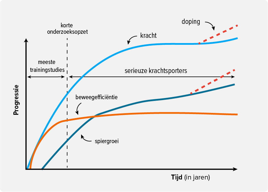 Alle belangrijke informatie over spiermassa - FIT.nl