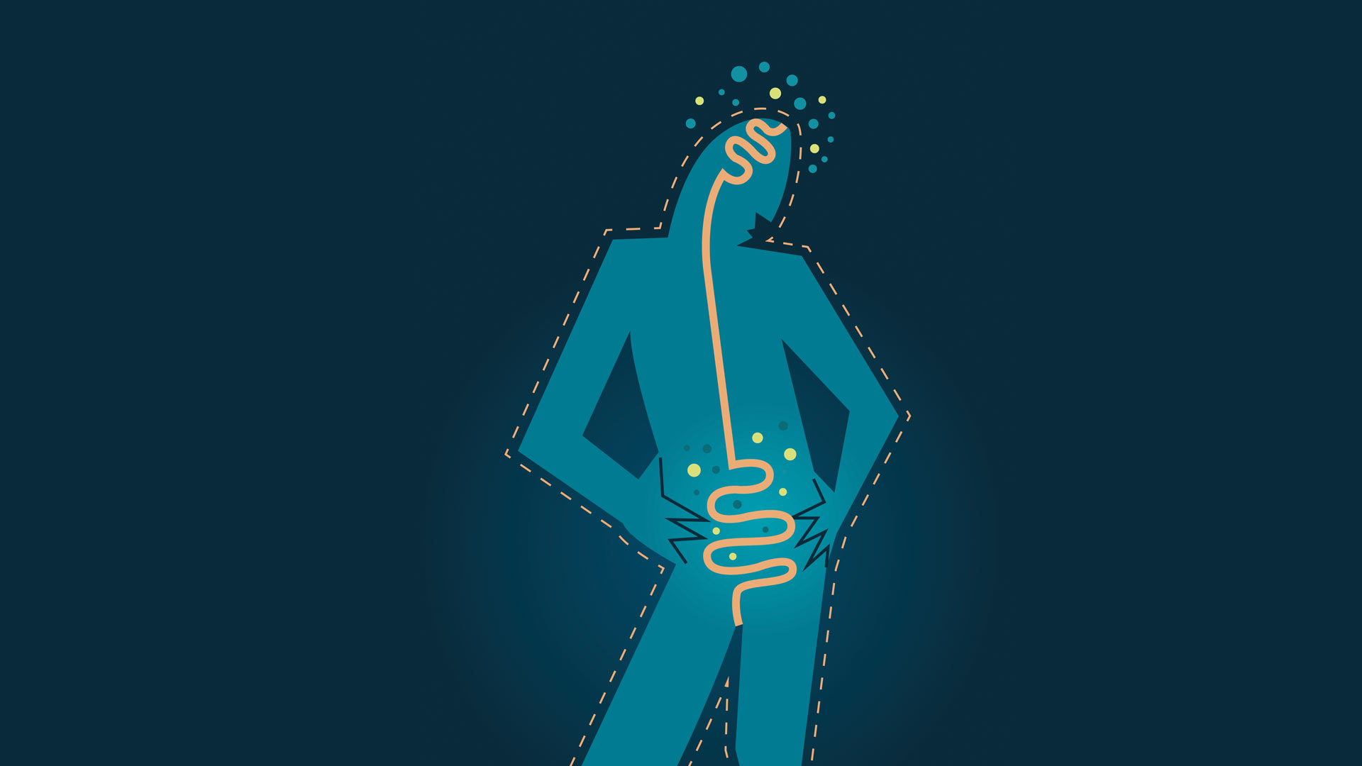 Hoe verloopt de vertering van eiwitten? - FIT.nl