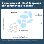 Wat zijn de verschillende spierweefseltypen? - FIT.nl
